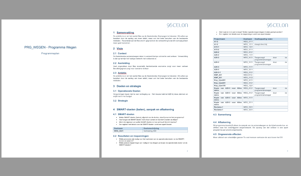 Grip op programma's | Programma-management.nl